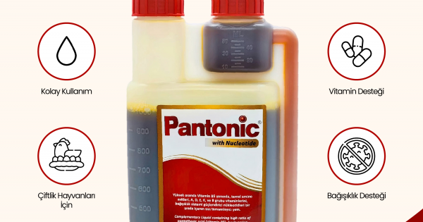 Pantonic 1 Lt Kanatlılar Için Multivitamin - 674352333